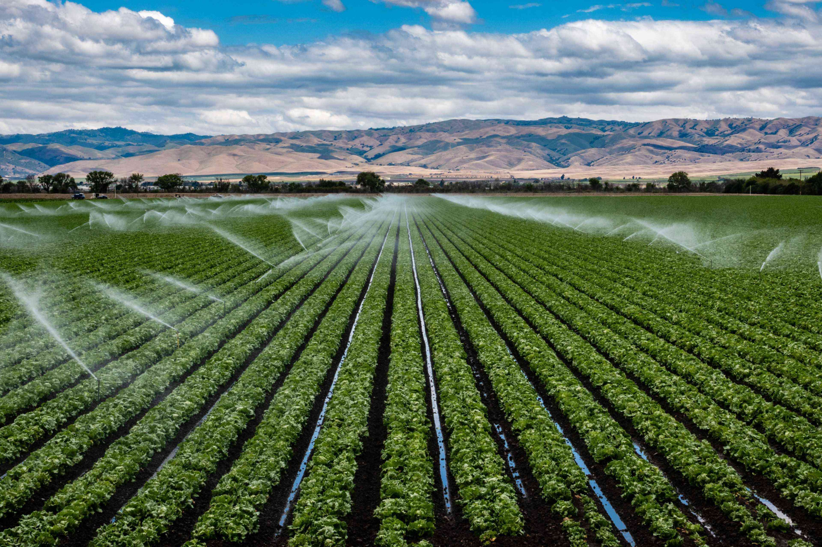 Irrigation Systems: The Foundation of Efficient Water Management and ...